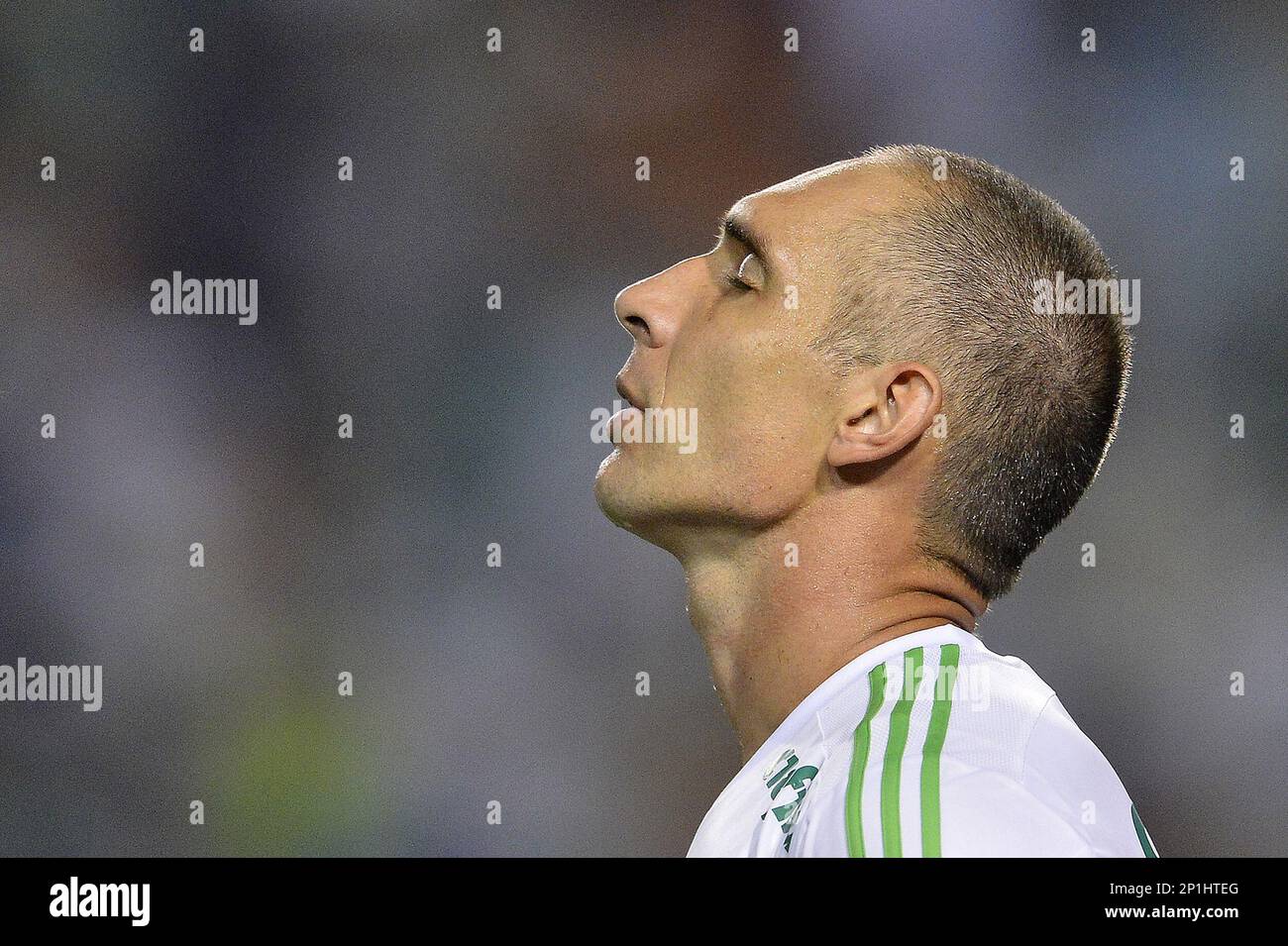 SAO PAULO - SP - 31/03/2016 - PAULISTA 2016/PALMEIRAS X RIO CLARO ...