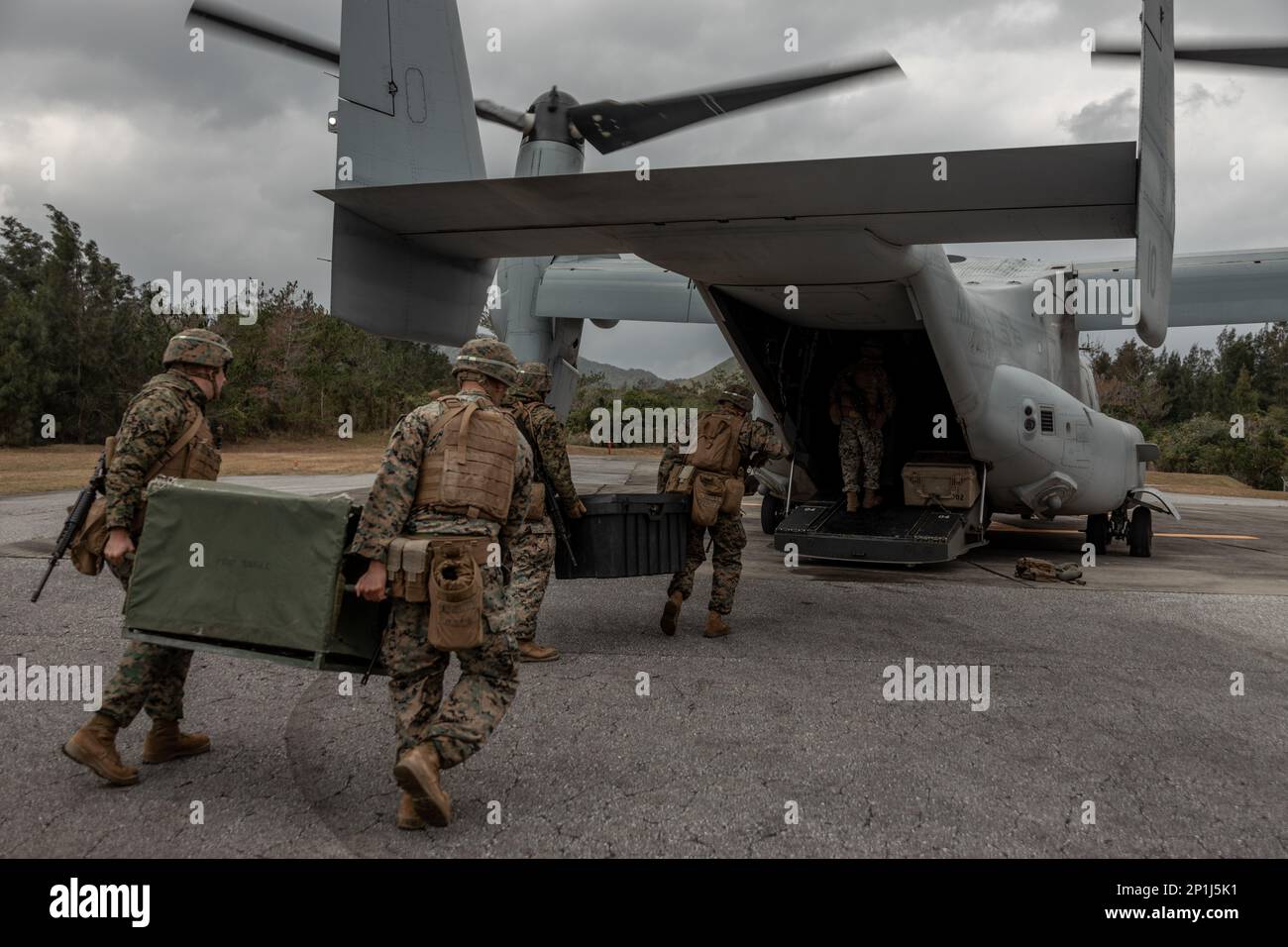 U.S. Marines with Combat Logistics Regiment 3 (CLR-3) load a 3,000 ...