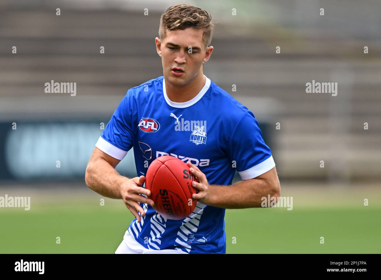 Will Phillips of North Melbourne warms up ahead of the AFL pre-season ...