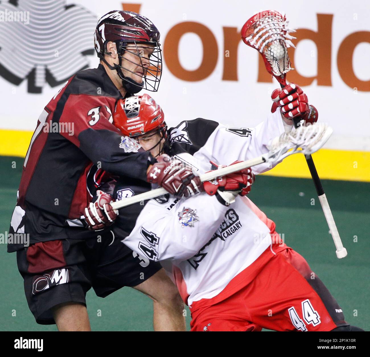 Colorado Mammoth's Dan Coates, left, roughs up Calgary Roughnecks' Dan ...
