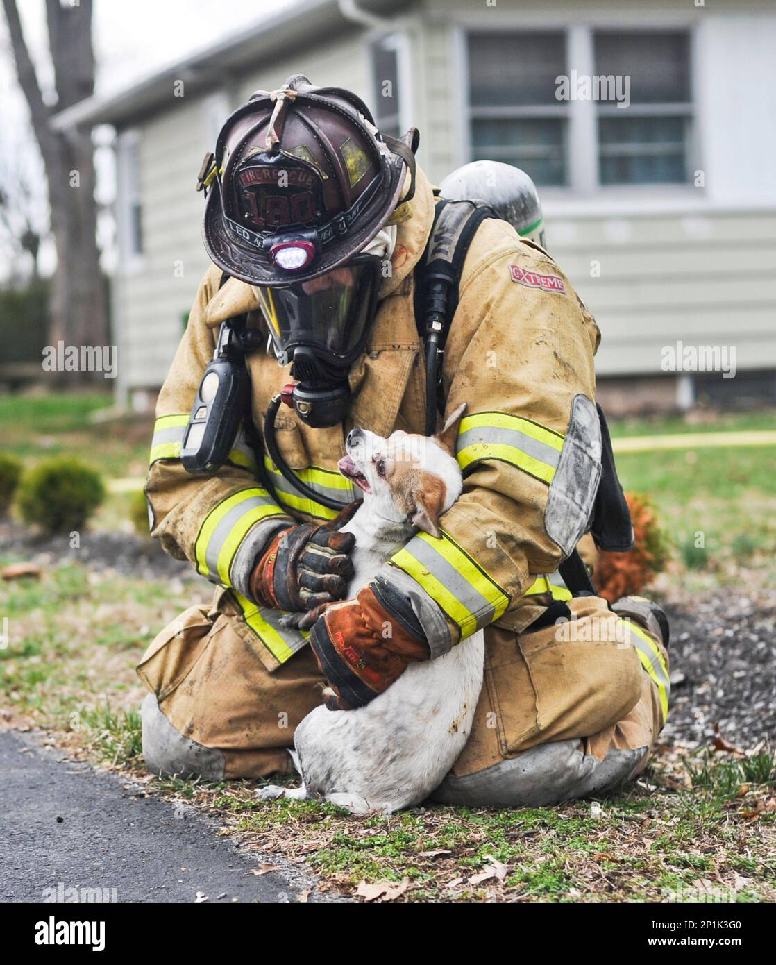 Espy, Pa. firefighter Scott Dawson kneels down with Finn, a chihuahua ...