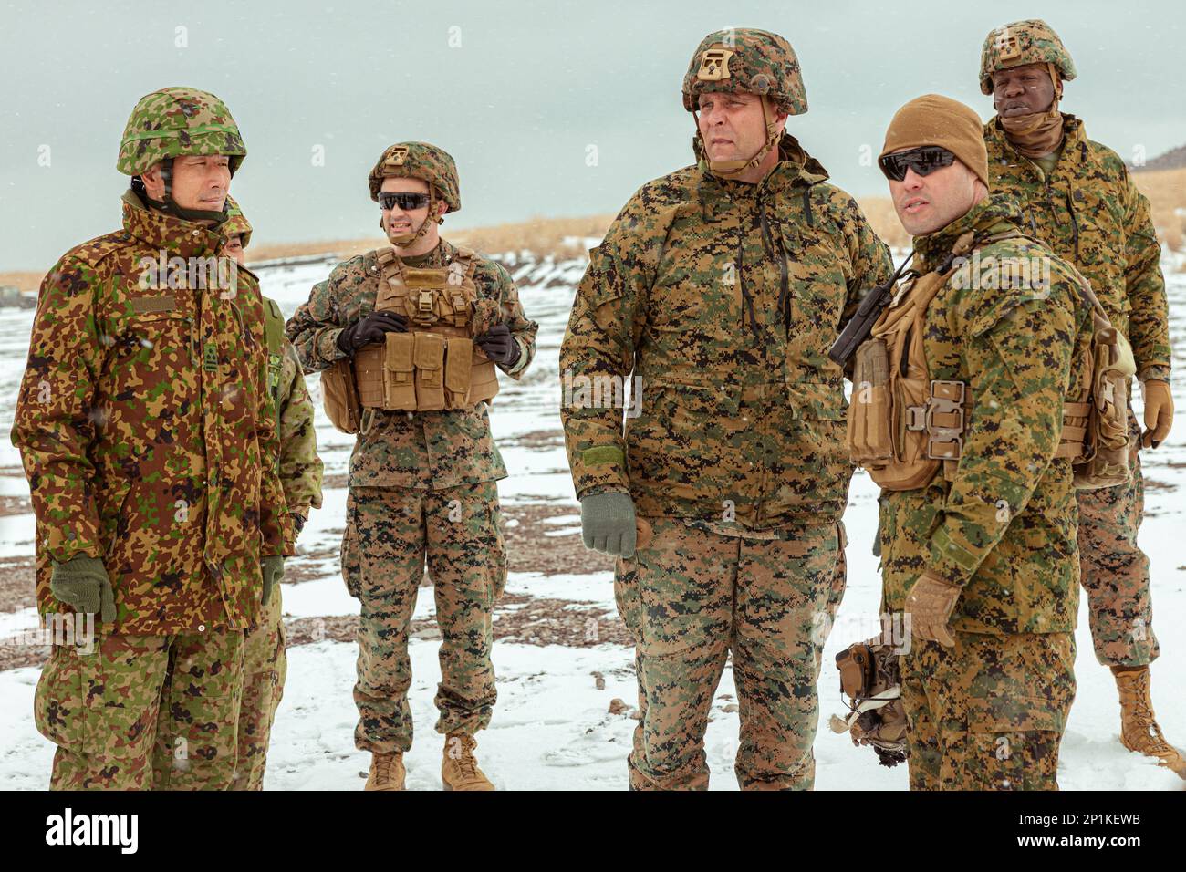 U.S. Marine Corps Col. Matthew Danner, commanding officer of the 31st ...