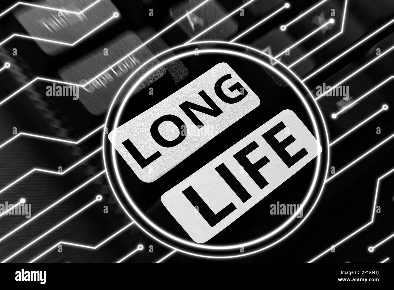 Writing displaying text Long Life. Internet Concept able to continue ...