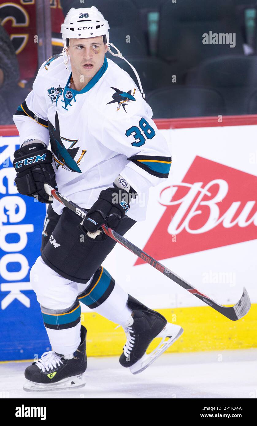 NHL player profile photo on San Jose Sharks' Micheal Haley at a game ...
