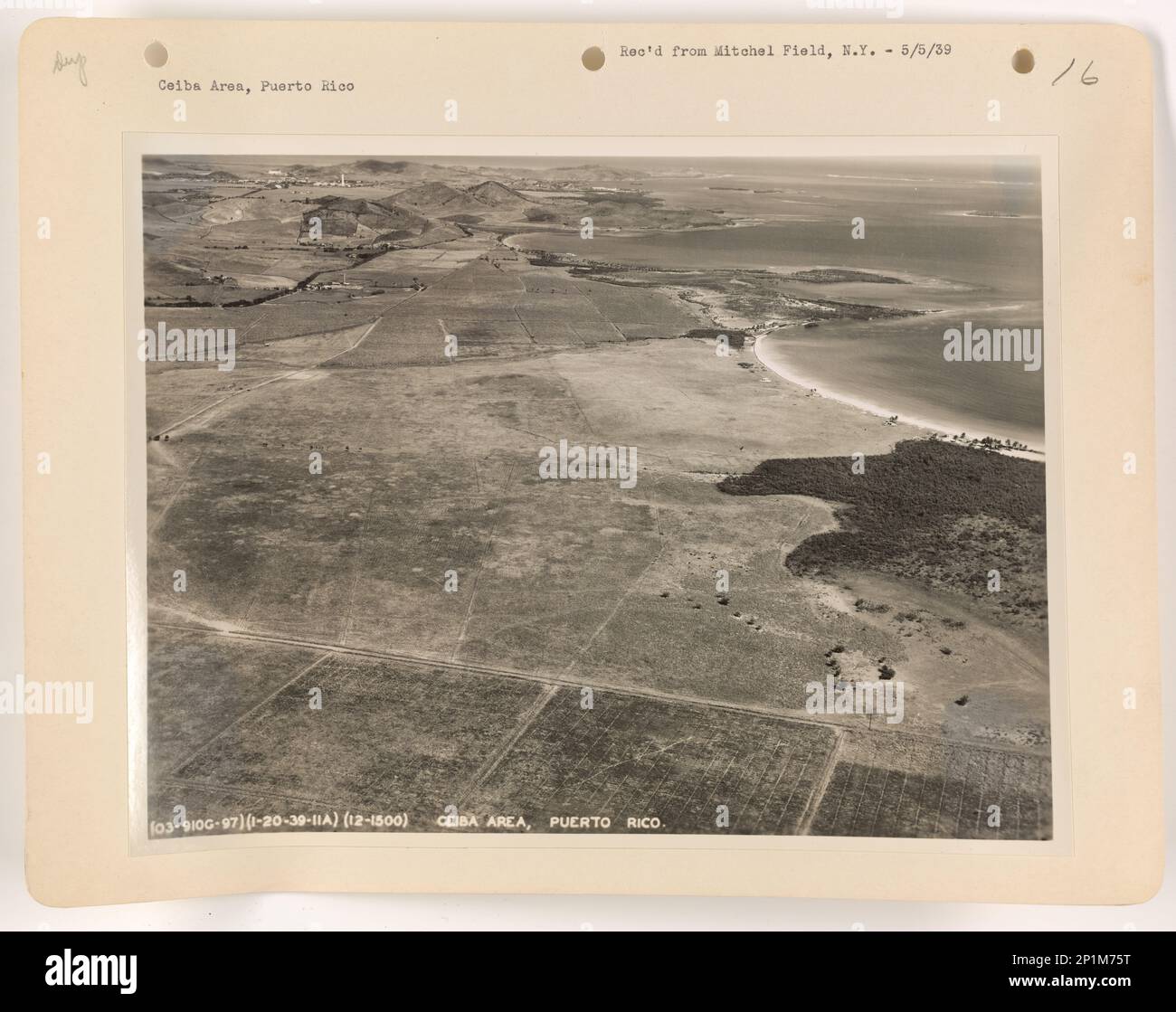 Ceiba puerto rico hi-res stock photography and images - Alamy