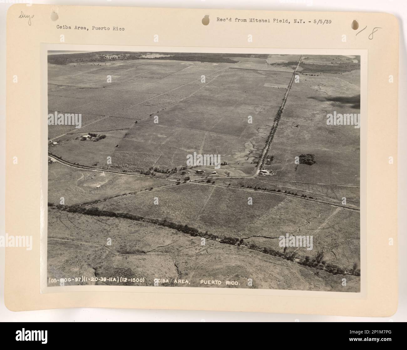 Ceiba puerto rico hi-res stock photography and images - Alamy