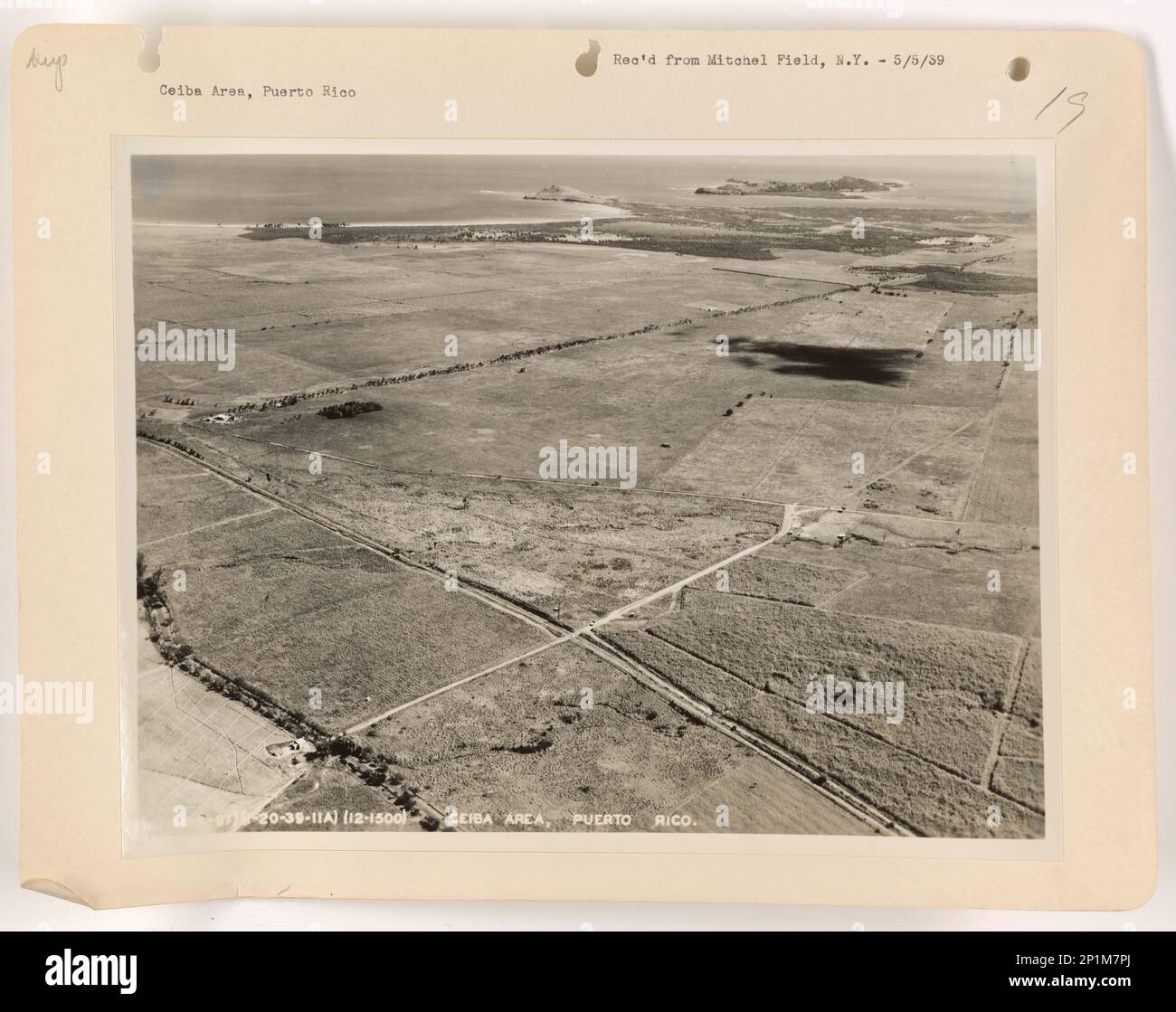 Ceiba puerto rico hi-res stock photography and images - Alamy