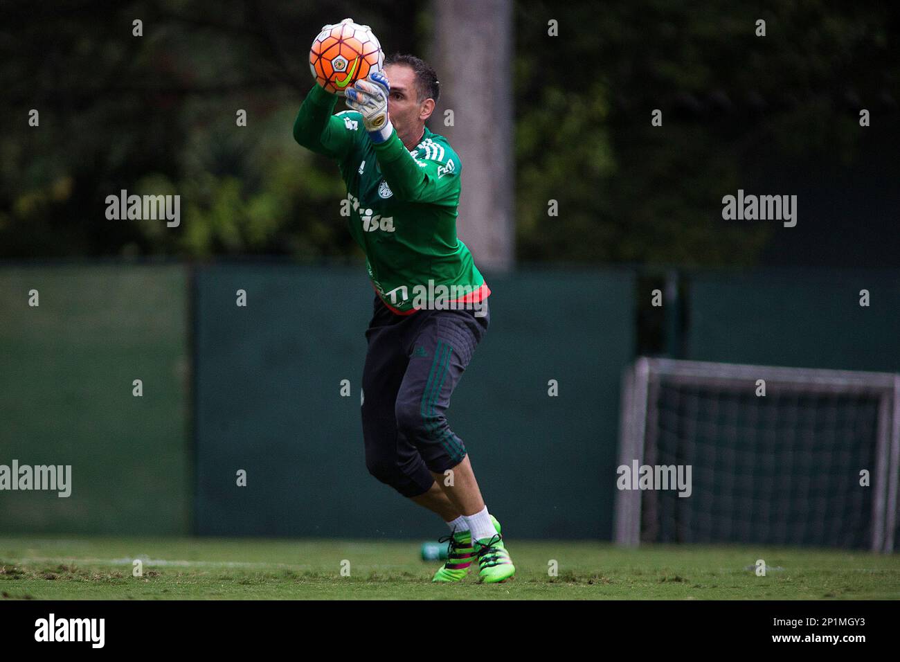 SAO PAULO - SP - 07/03/2016 - TREINO DO PALMEIRAS - Fernando Prass ...