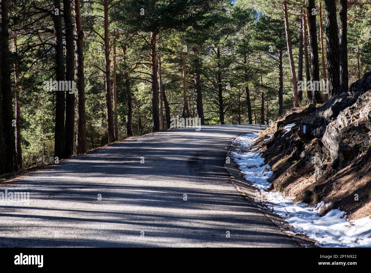 Cabeceras del Ter and Freser Natural Park, Girona,Spain Stock Photo - Alamy