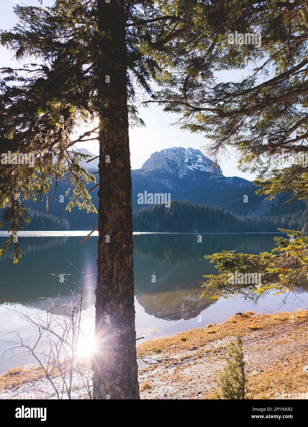 Beautiful view of Black lake, Crno Jezero in Durmitor National Park ...