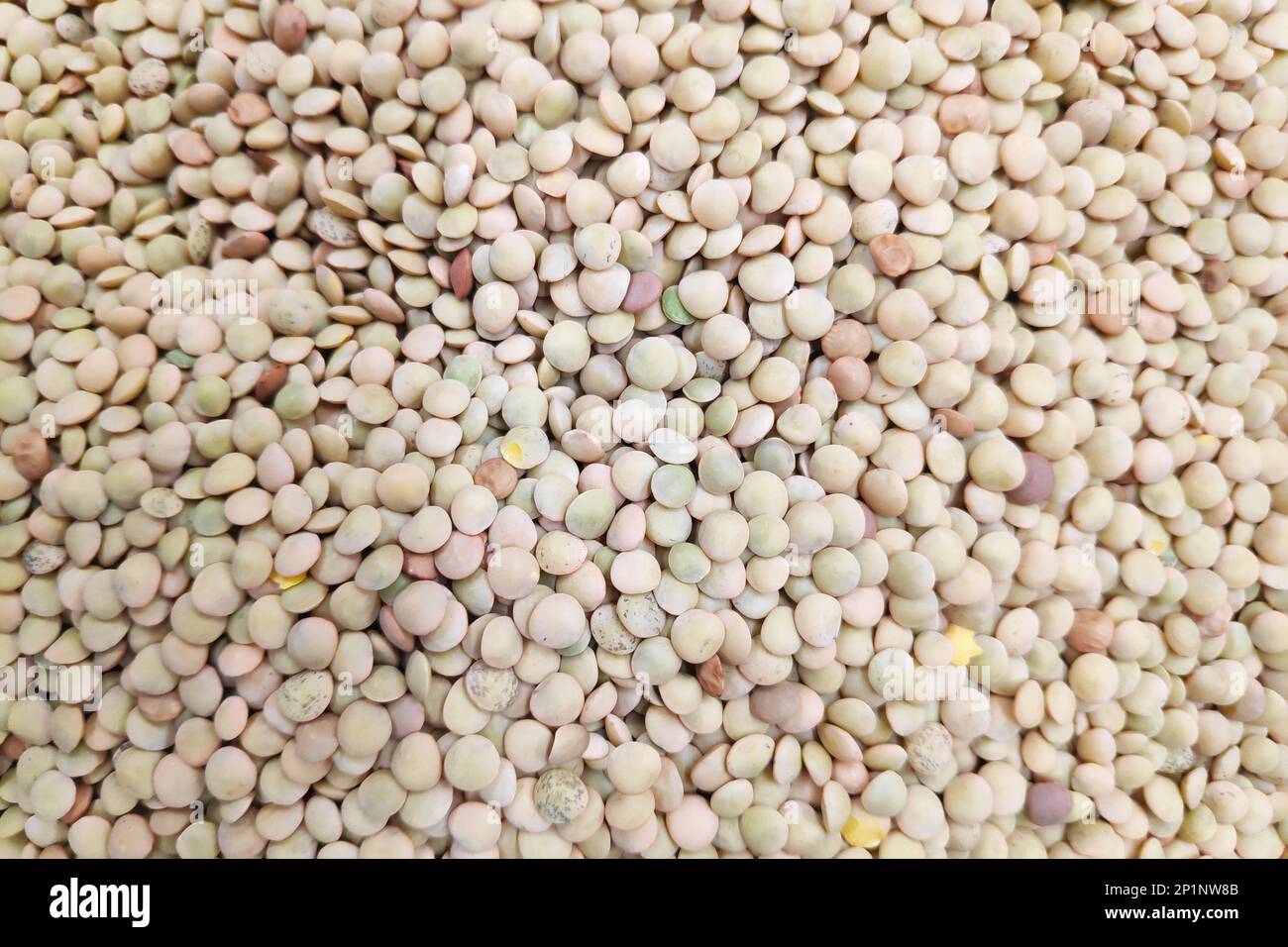 Close-up on a stack of organic white lentils on a market stall Stock ...