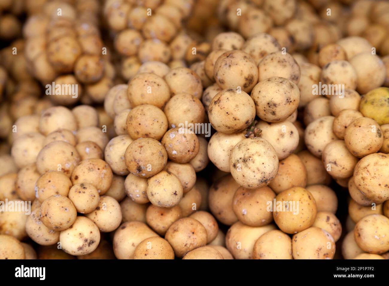 Close-up on a stack of longkong for sale on a market stall Stock Photo ...