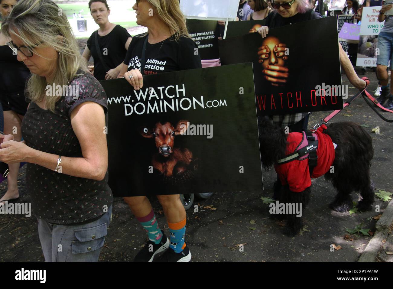 Sydney, Australia. 4th March 2023. Animal rights activists hit the ...