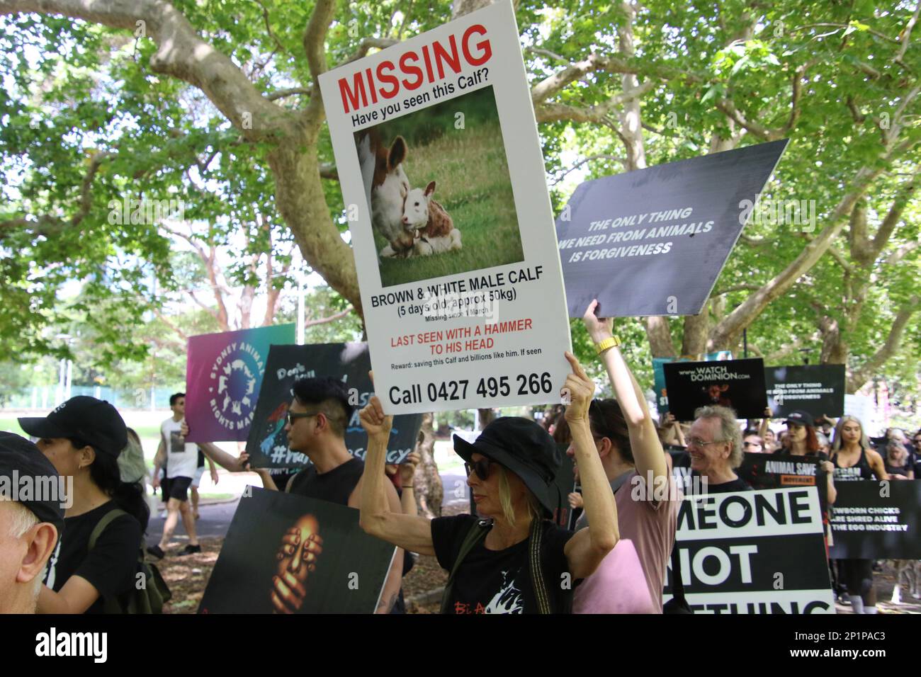 Sydney, Australia. 4th March 2023. Animal rights activists hit the ...
