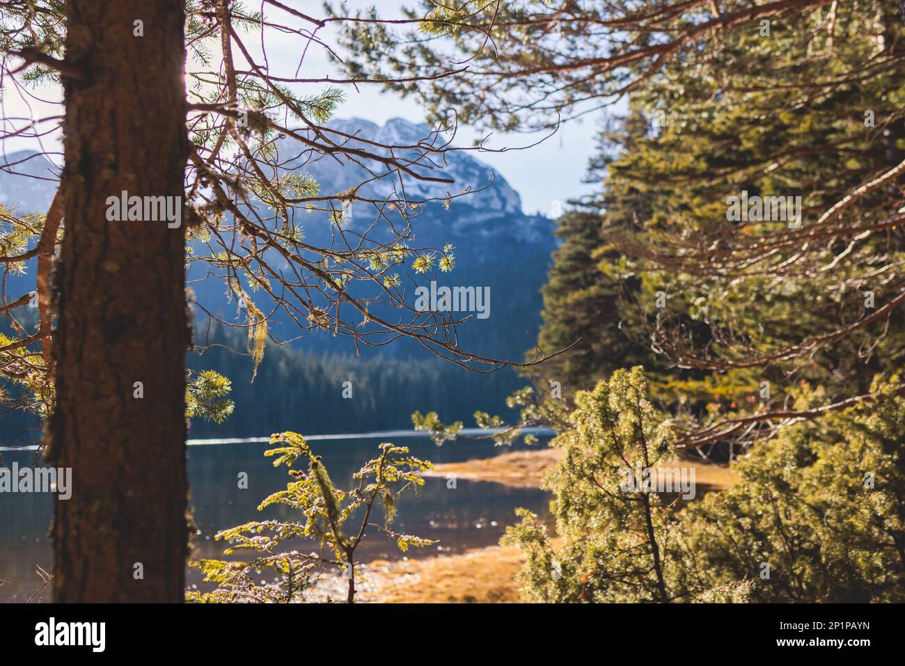 Beautiful view of Black lake, Crno Jezero in Durmitor National Park ...