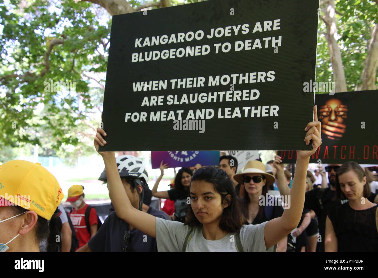 Sydney, Australia. 4th March 2023. Animal rights activists hit the ...