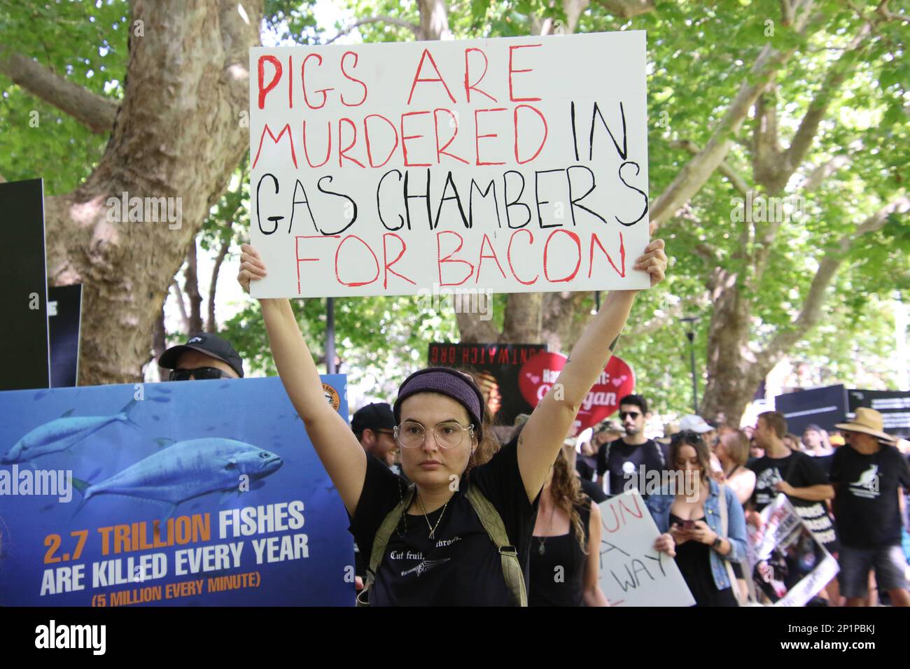Pig protest australia hi-res stock photography and images - Alamy