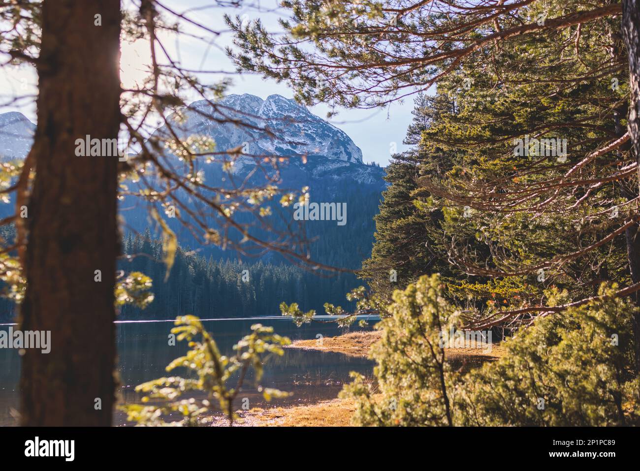 Beautiful view of Black lake, Crno Jezero in Durmitor National Park ...