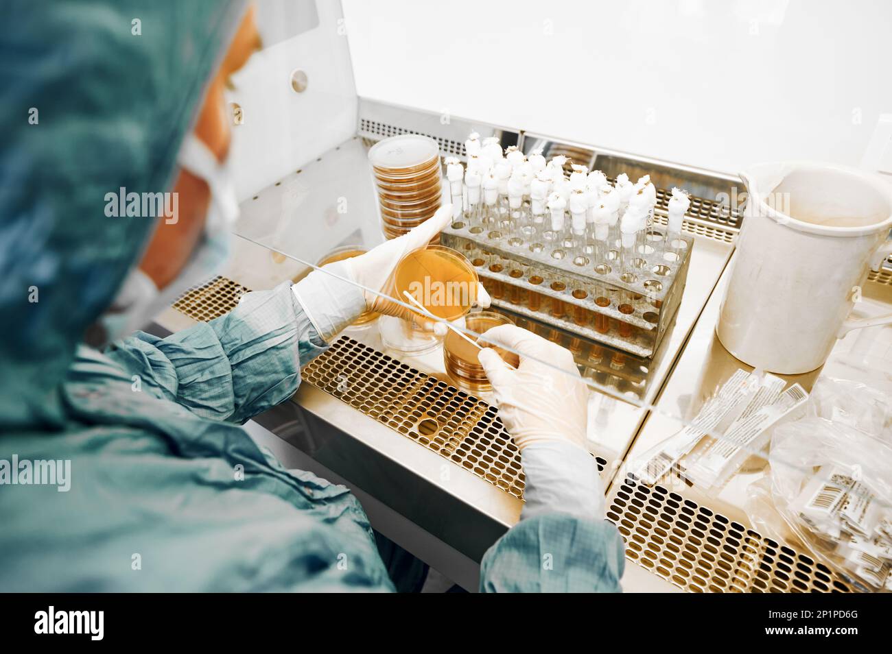 Specialist works with sample in Petri dish in special lab Stock Photo ...