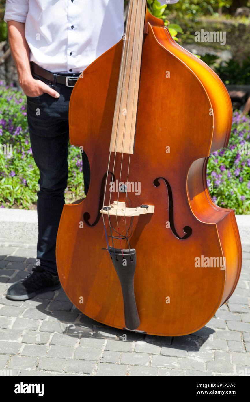 Classical double bass instrument hi-res stock photography and images ...