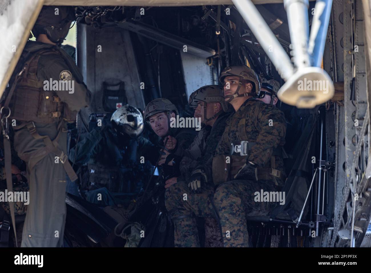 U.S Marines with Alpha Company, 2nd Reconnaissance Battalion, load into ...