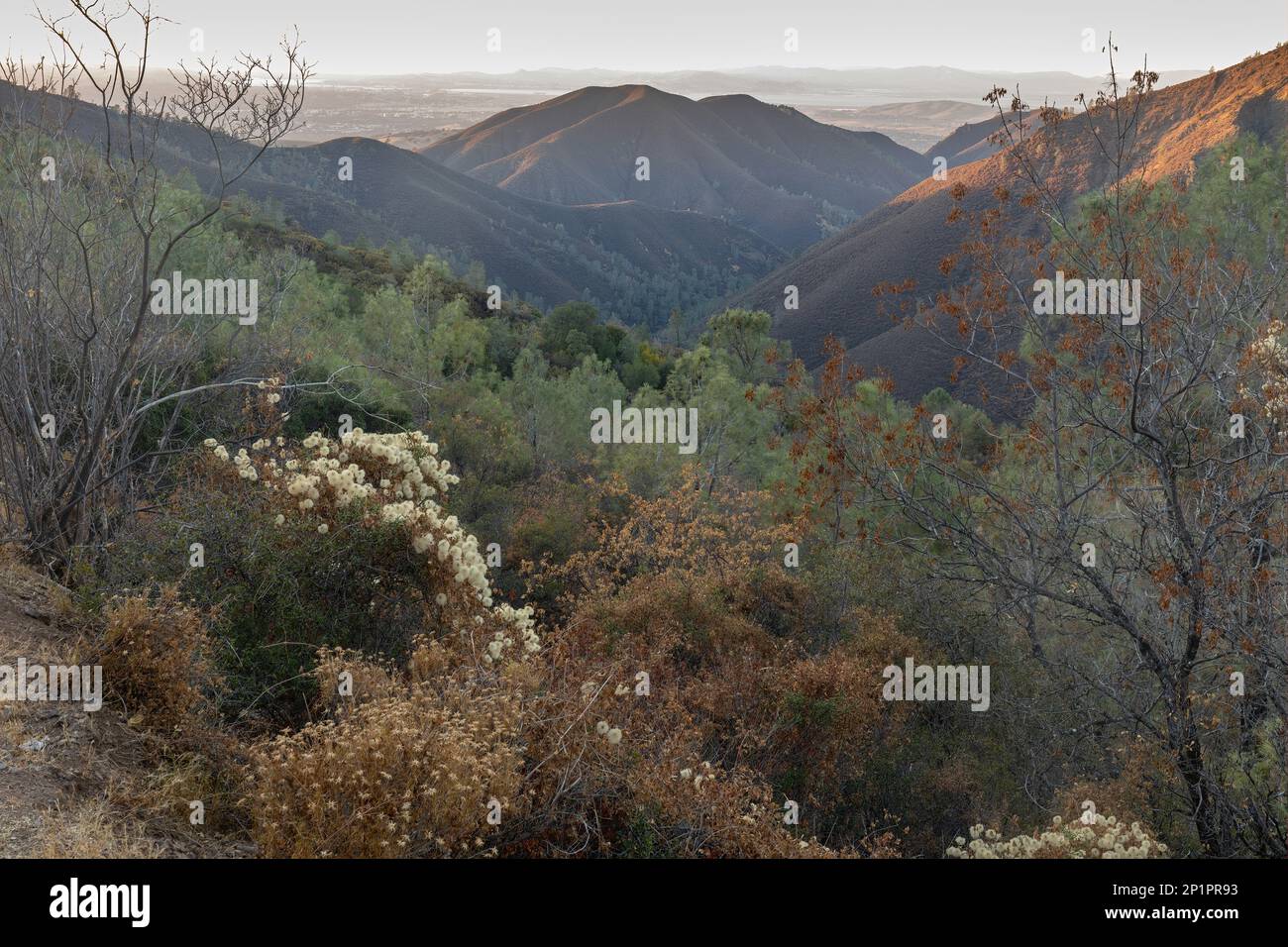 Sunset over Mt Olympia and Mitchell Canyon via Deer Flat. Mt Diablo ...