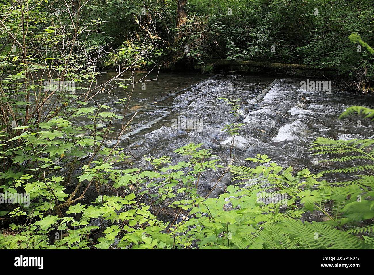 In this undated photo provided by NOAA Fisheries, underwater antennas ...