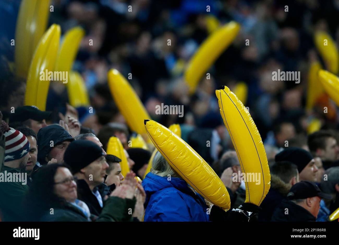 Jan. 27, 2016 - Manchester, United Kingdom - Giant inflatable bananas ...