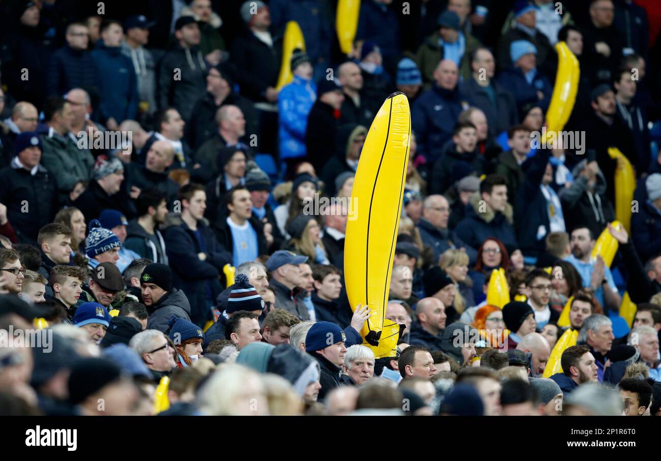 Jan. 27, 2016 - Manchester, United Kingdom - Giant inflatable bananas ...