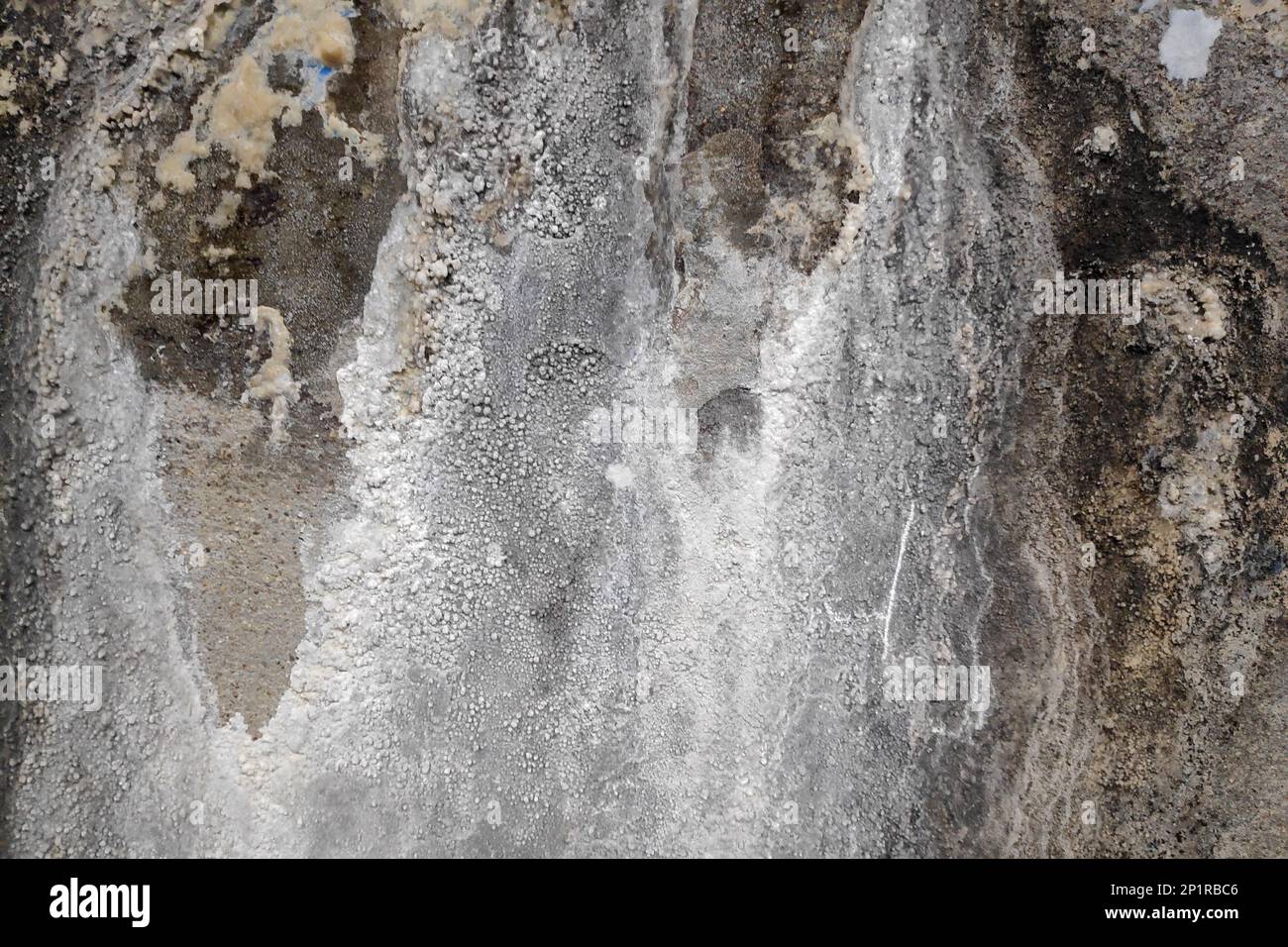 Full frame close-up on a concrete wall suffering from water damage ...