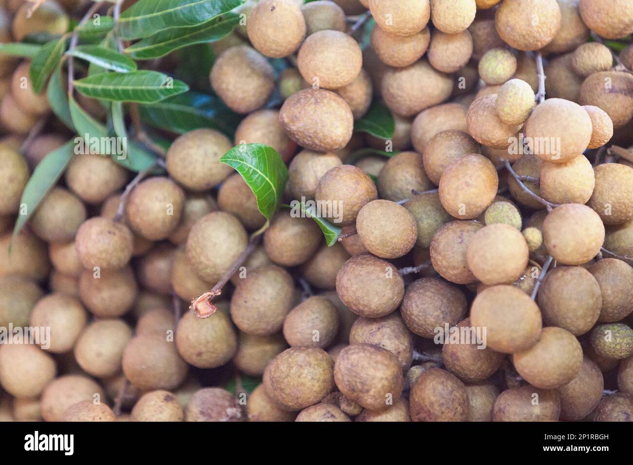Close-up on a stack of Longan for sale on a market stall Stock Photo ...