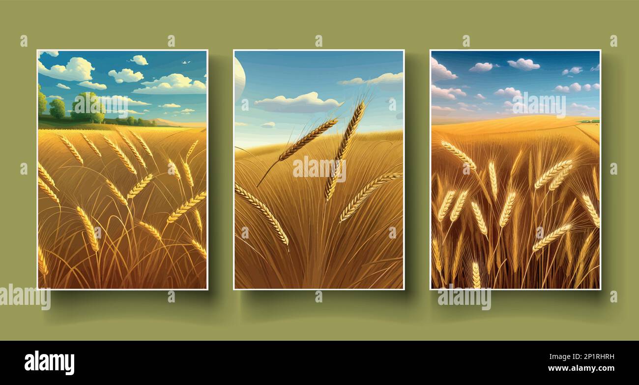 Rice field vertical view Stock Vector Images - Alamy