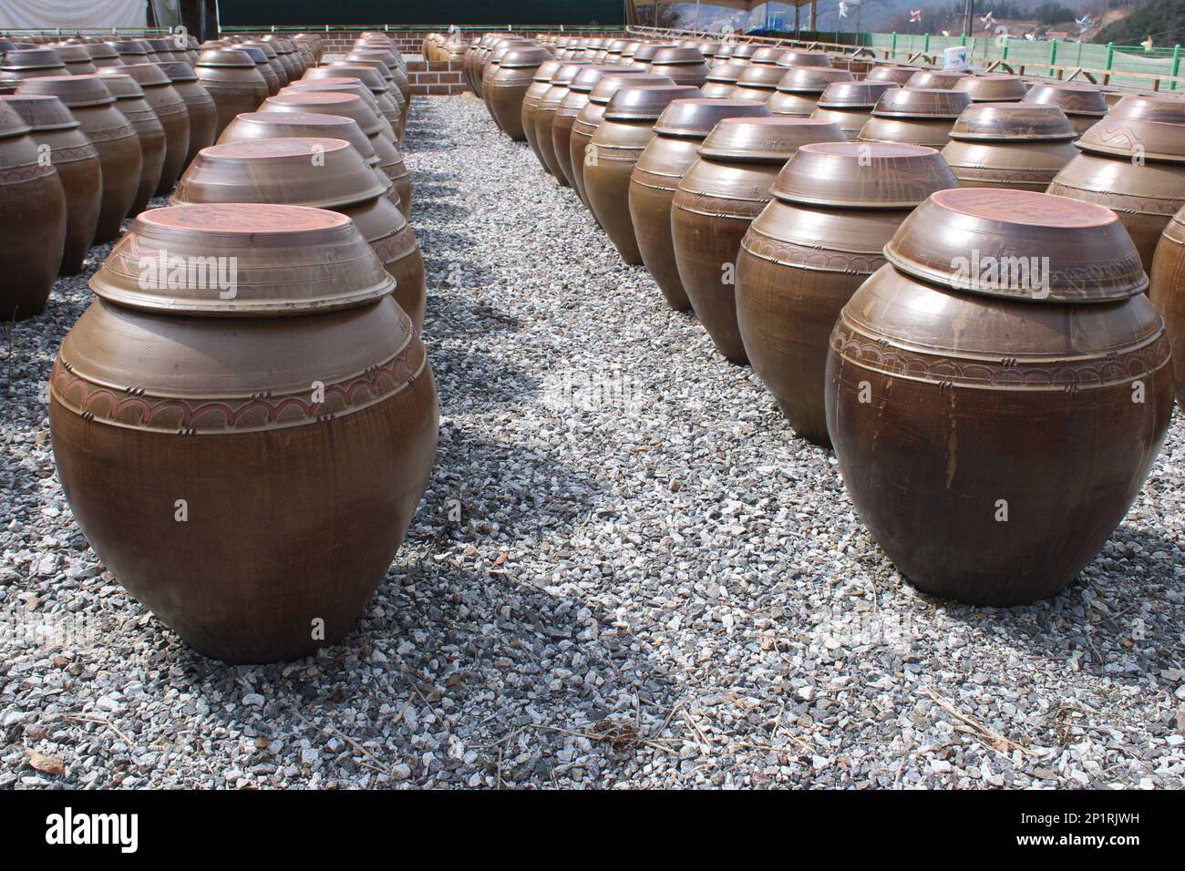 Traditional Korean fermentation jars in country market Stock Photo - Alamy