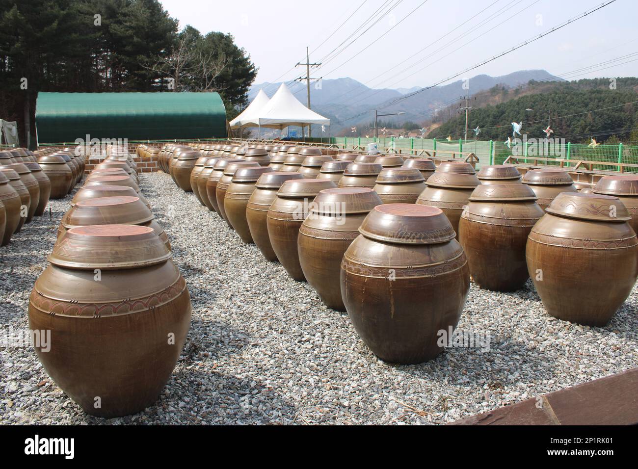 Traditional Korean fermentation jars in country market Stock Photo - Alamy
