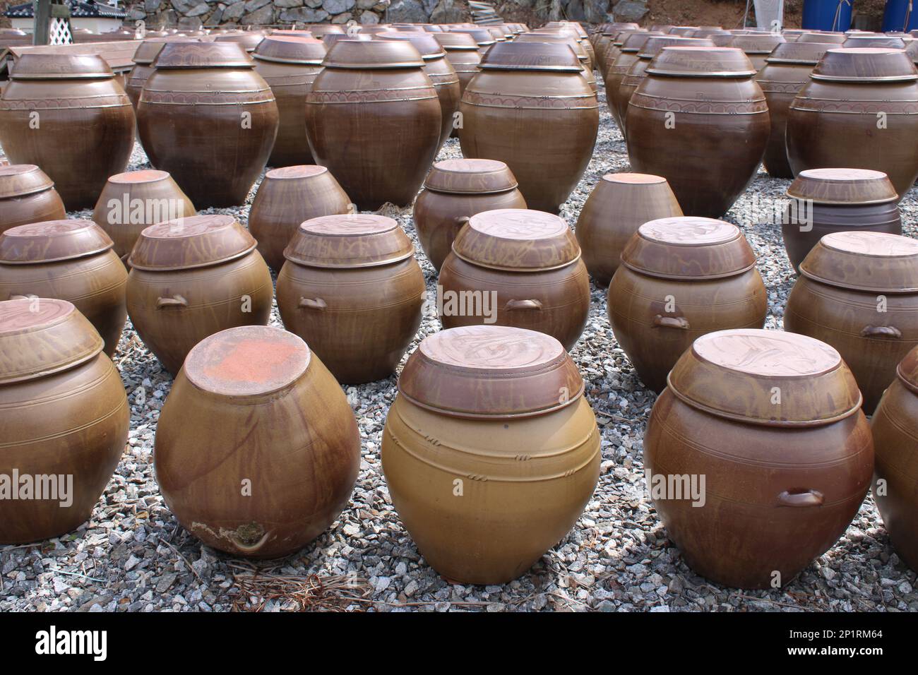 Traditional Korean fermentation jars in country market Stock Photo - Alamy
