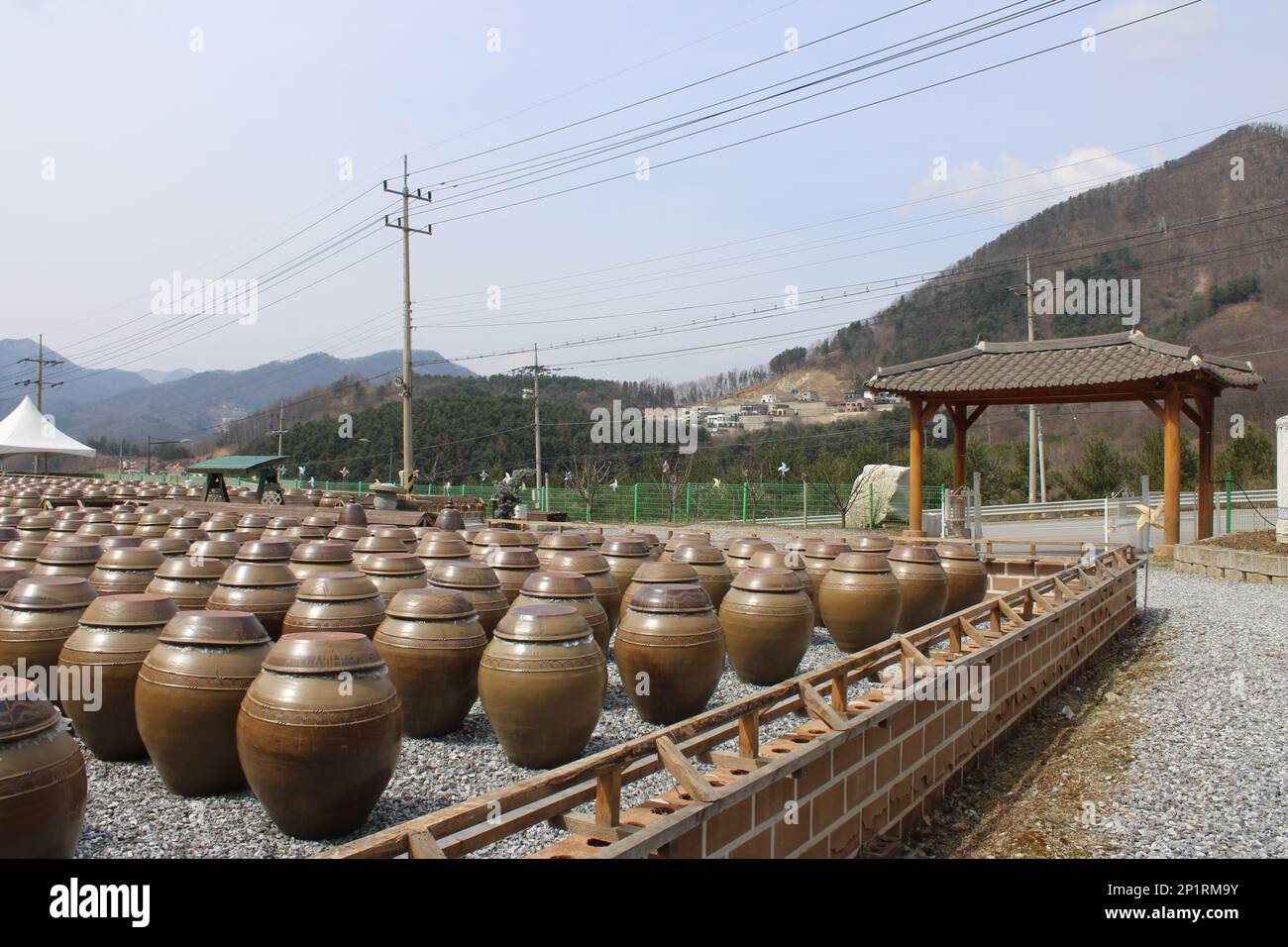 Traditional Korean fermentation jars in country market Stock Photo - Alamy