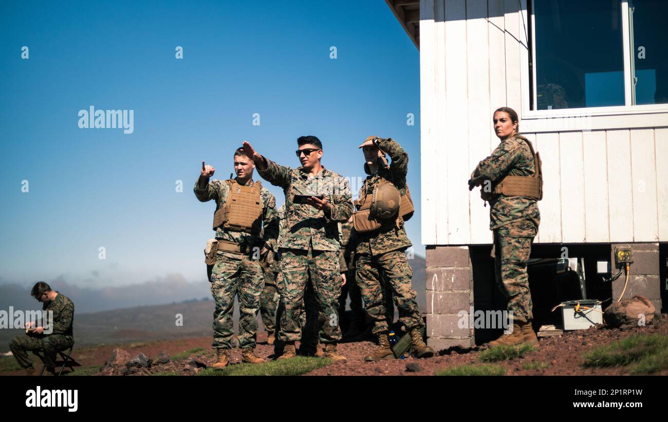 U.S. Marines with 3d Marine Littoral Regiment, 3d Marine Division ...