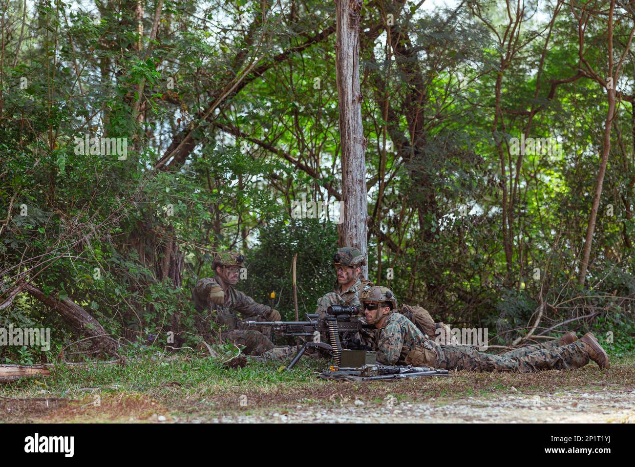 U.S. Marines with Battalion Landing Team 1/4, 31st Marine Expeditionary ...