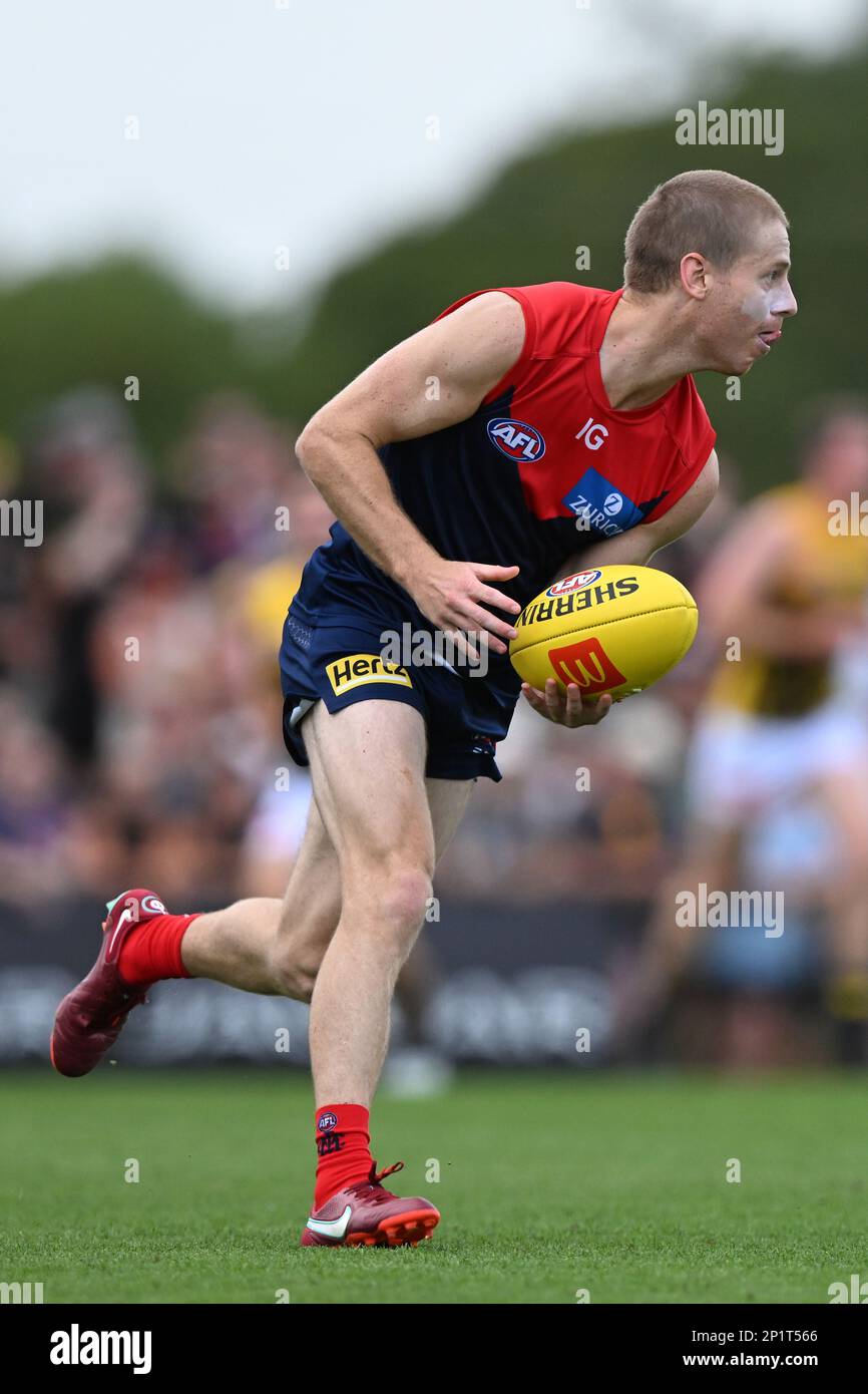 Lachie Hunter of the Demons in action during the AFL pre-season match ...