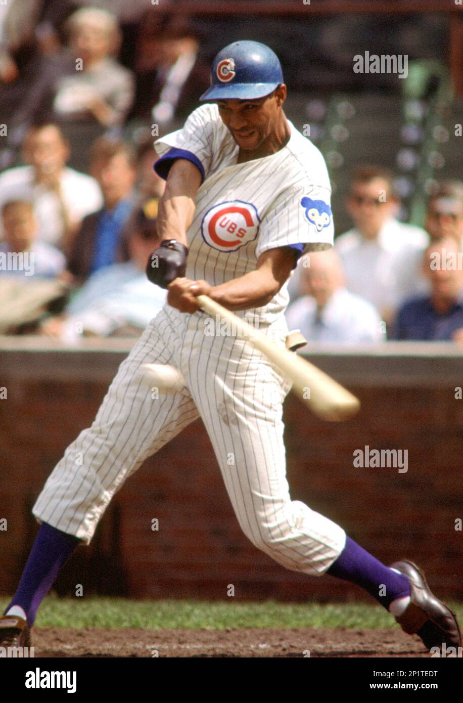 Chicago Cubs Billy Williams (26) during a game from his 1965 season at ...