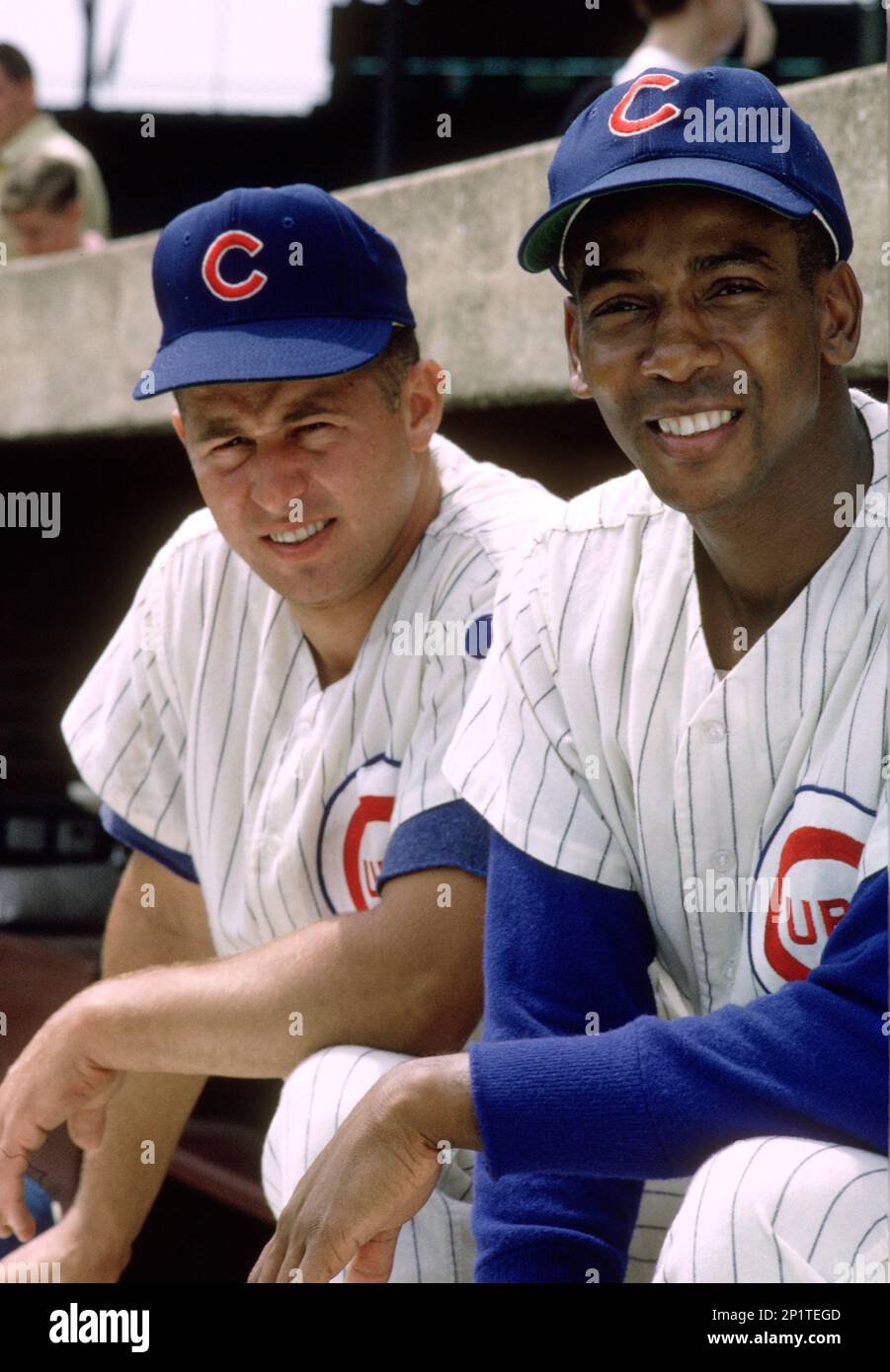 Chicago Cubs Ernie Banks (14) and Chicago Cubs Ron Santo (10) portrait ...