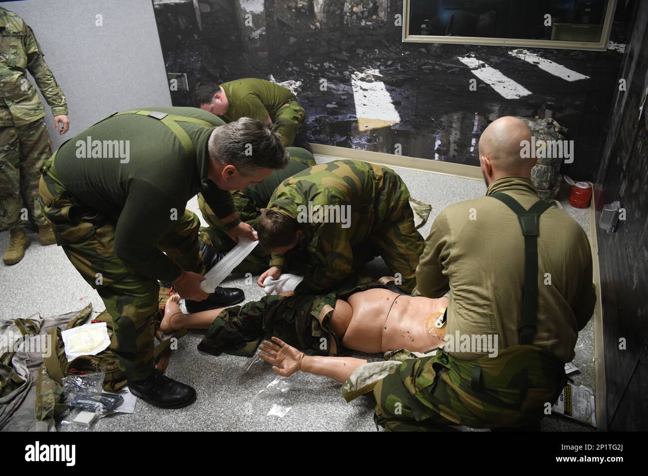 Members of the Norwegian Home Guard conduct training at the Medical ...