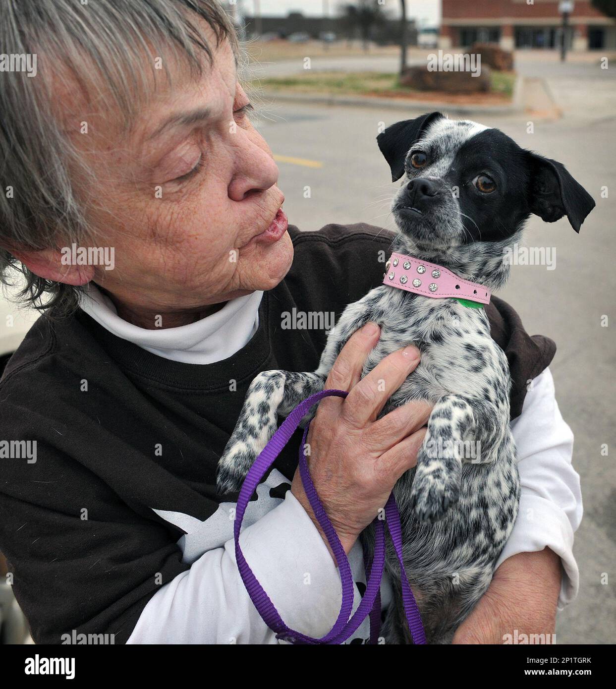 Pug Puppy Rescue In Texas