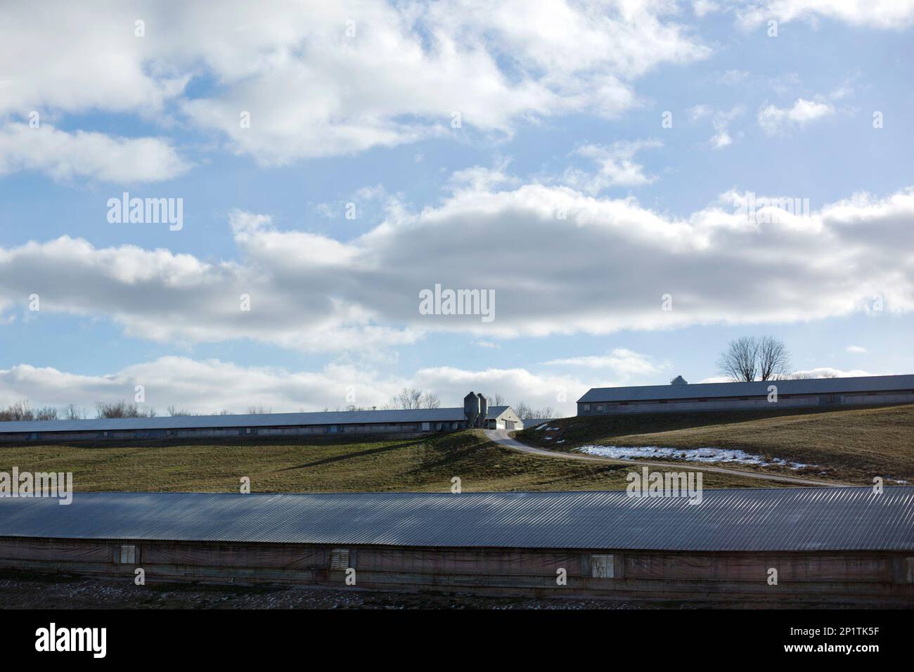 Ralph and Cyrilla Senninger’s farm off State Road 164 between Celestine ...