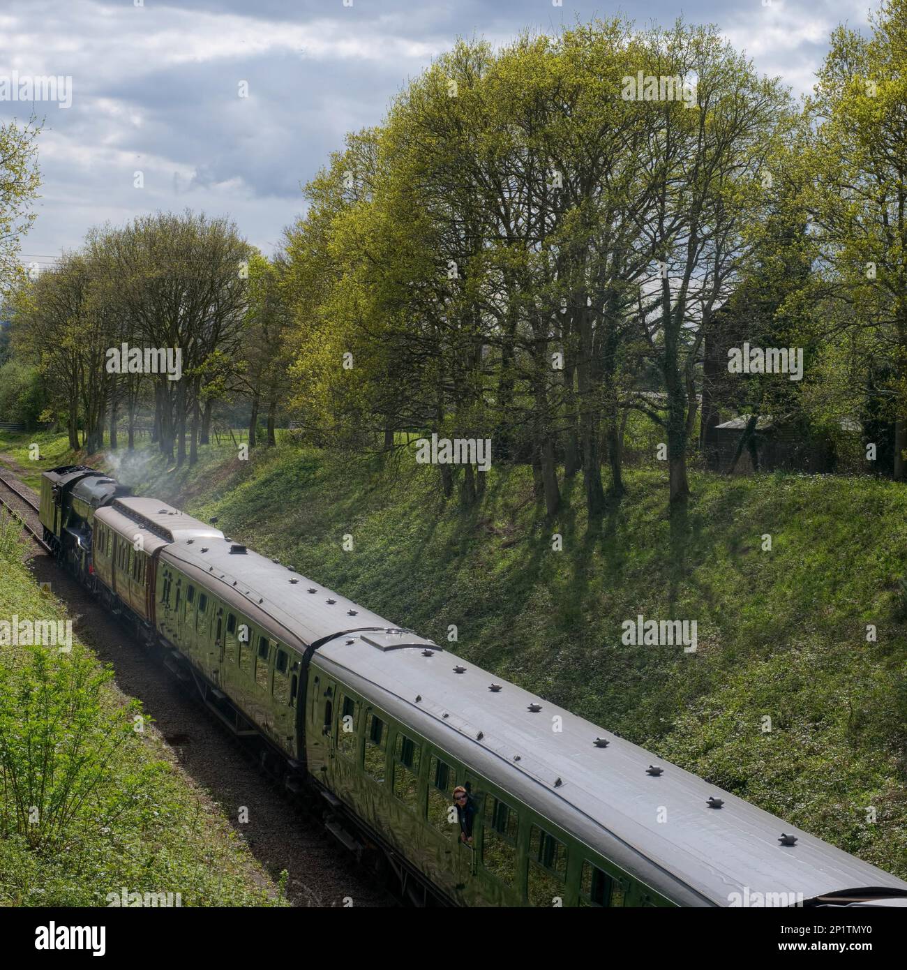 Flying Scotsman on the Bluebell Line Stock Photo - Alamy