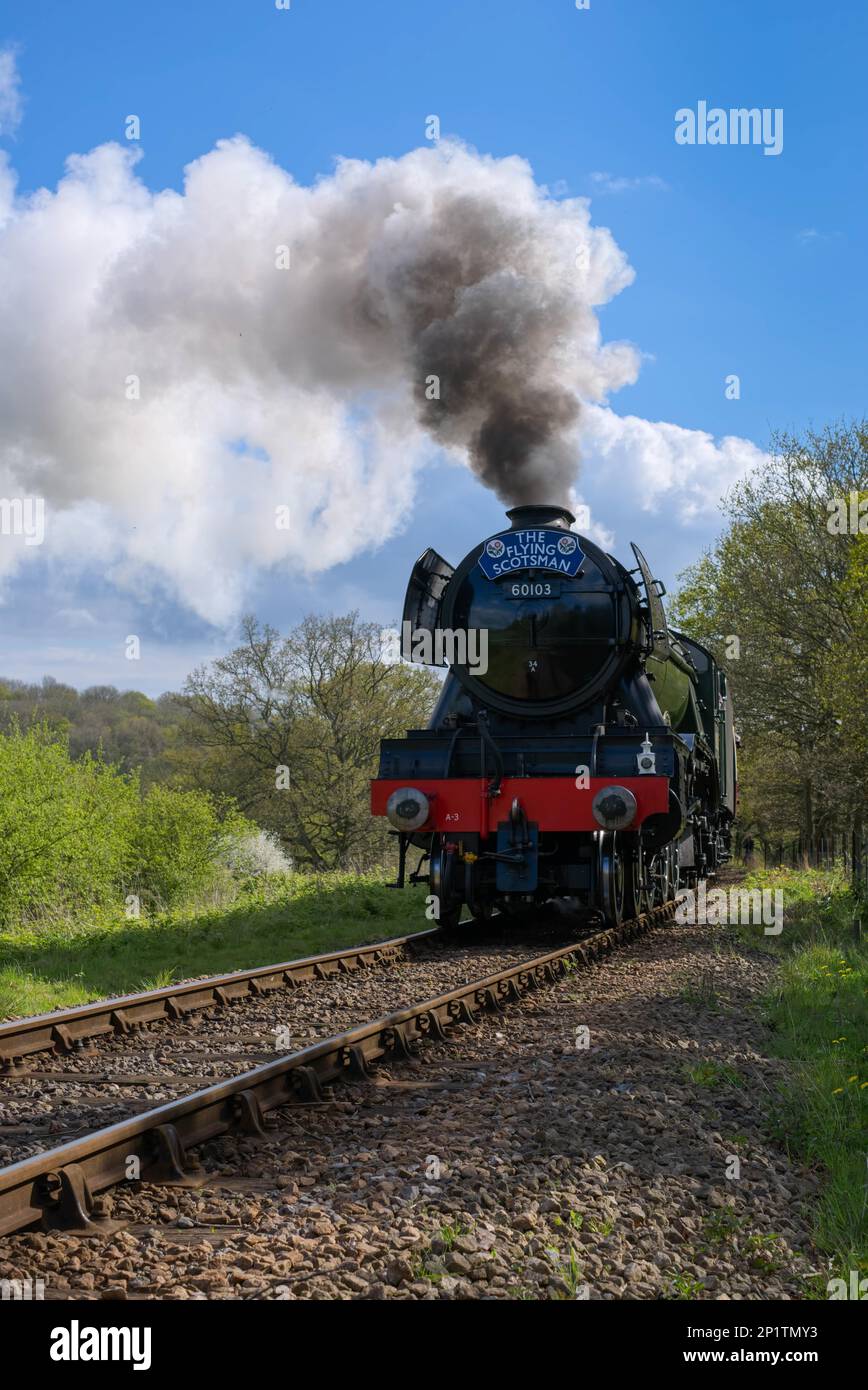 Flying Scotsman on the Bluebell Line Stock Photo - Alamy