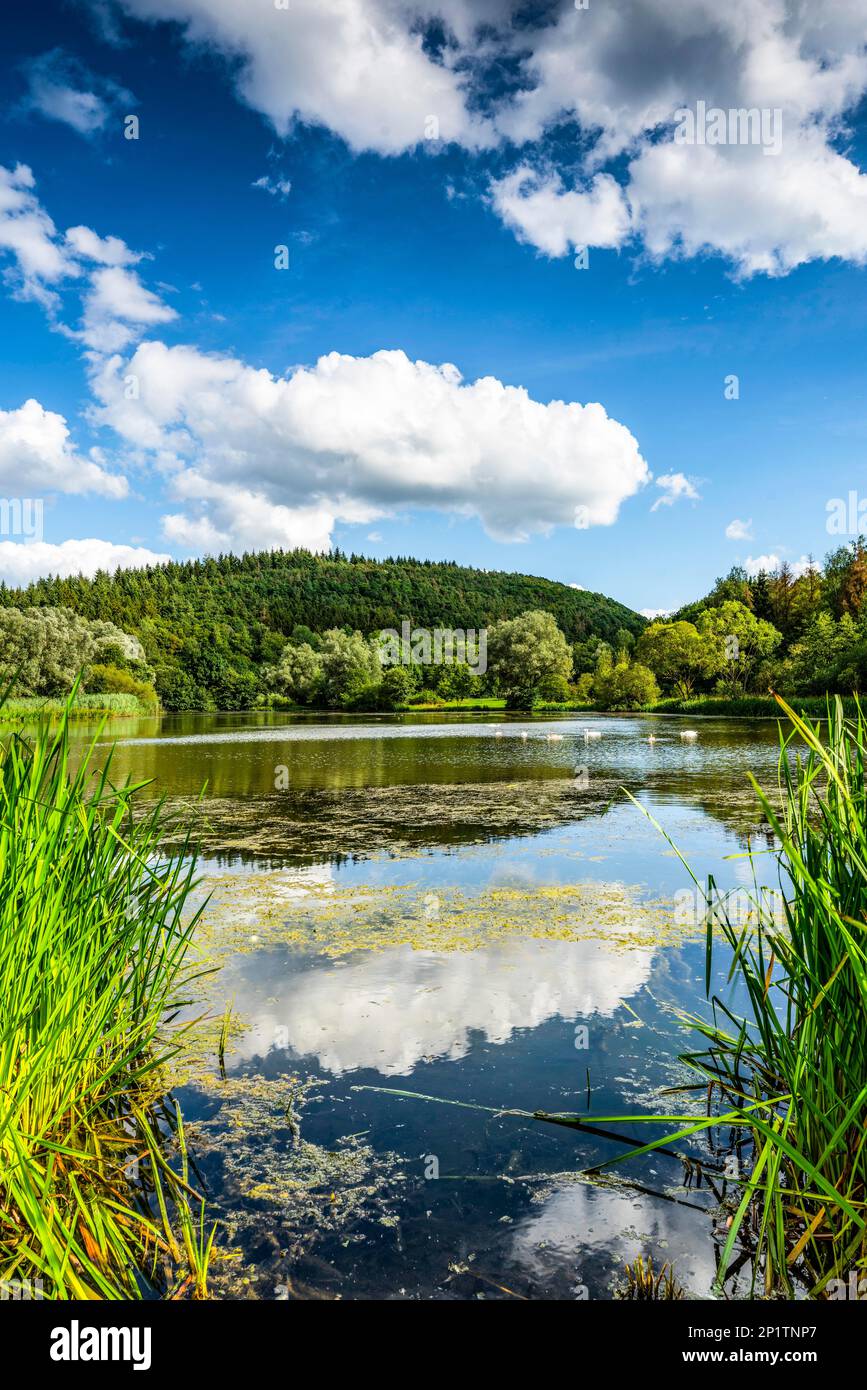 Eicherscheid flood retention basin on the River Erft near Bad ...