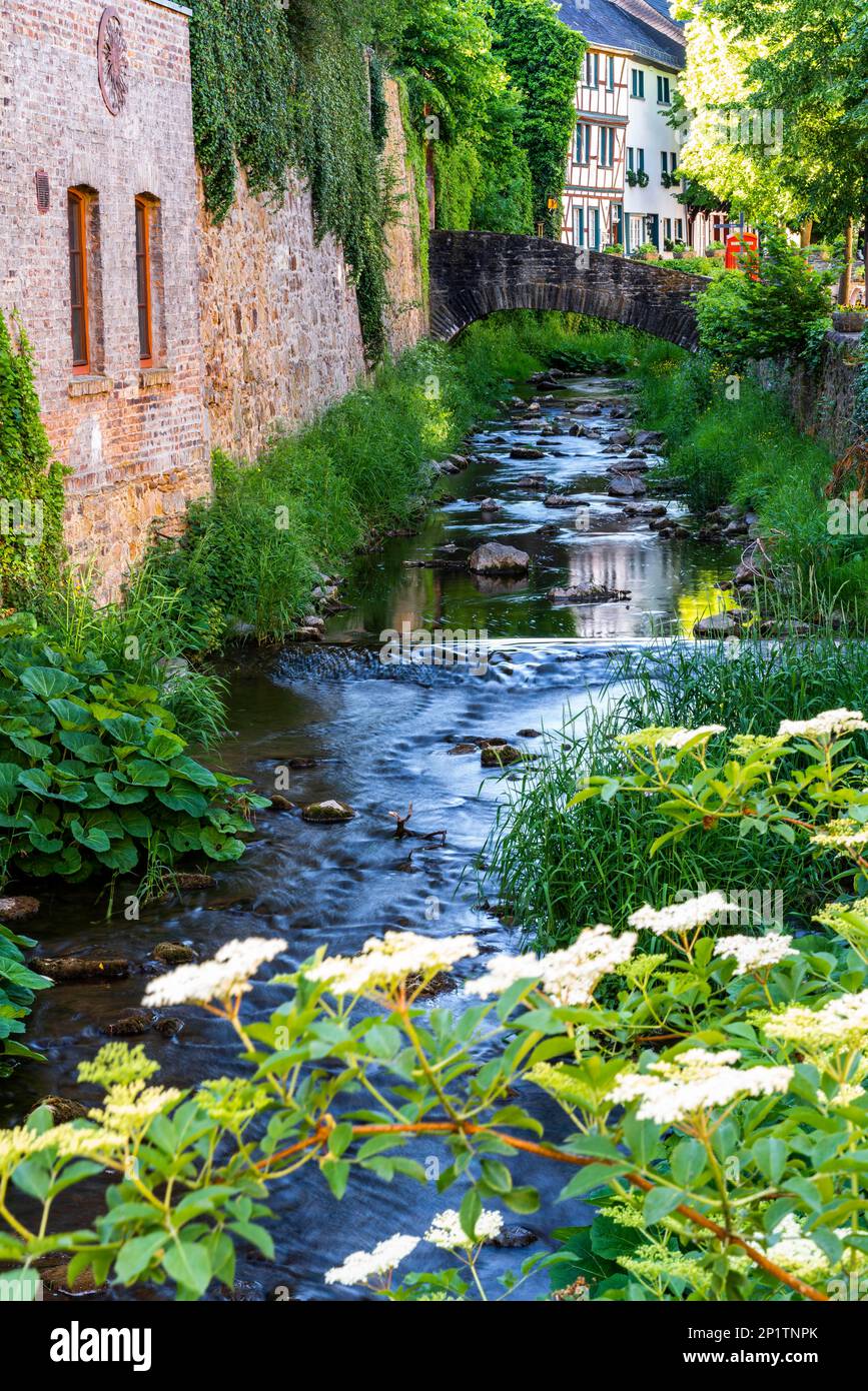 The River Erft in Bad Muenstereifel, North Rhine-Westphalia Stock Photo ...