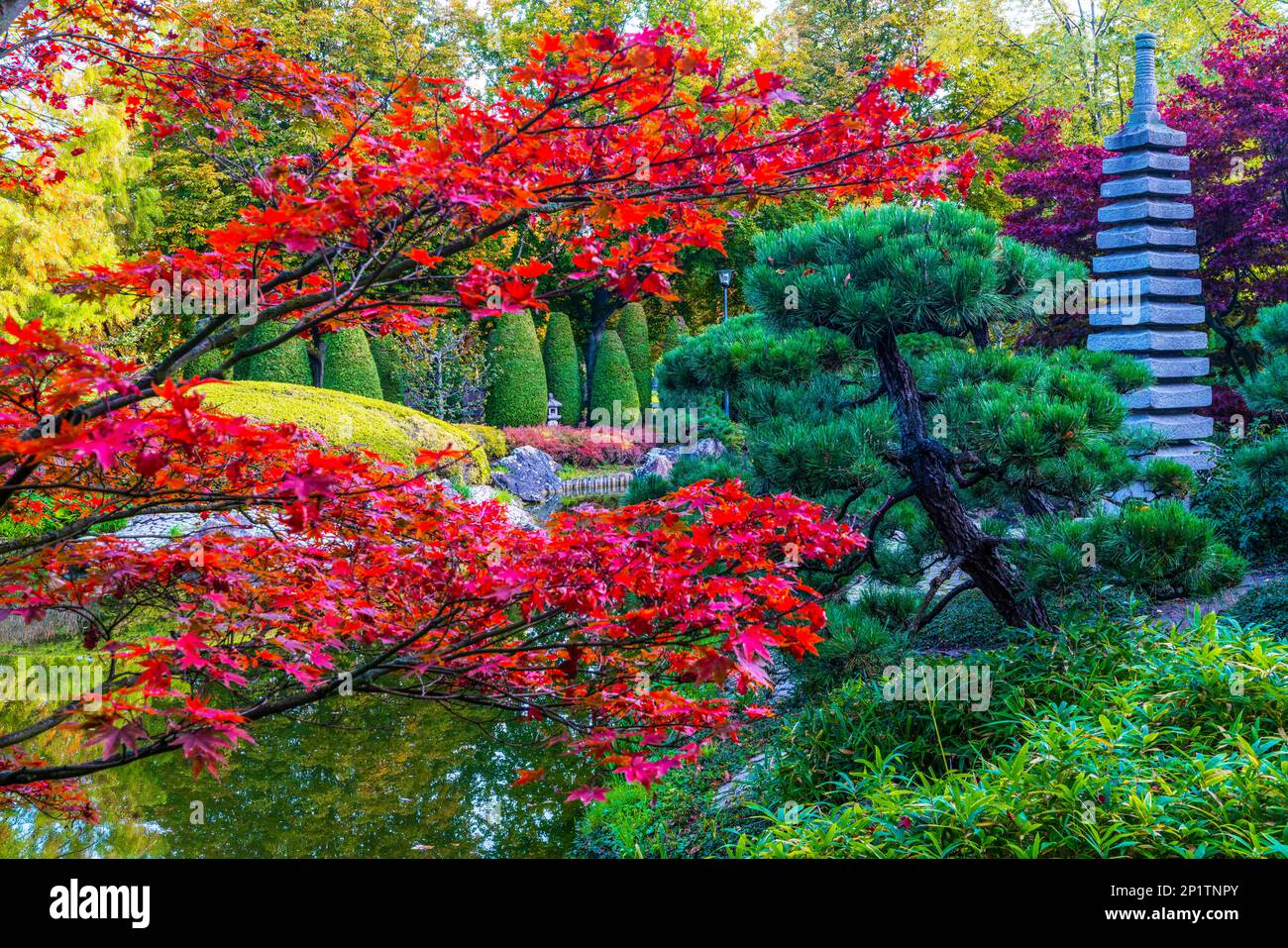 Japanese Garden in the Rhine Meadows, Bonn, North Rhine-Westphalia ...