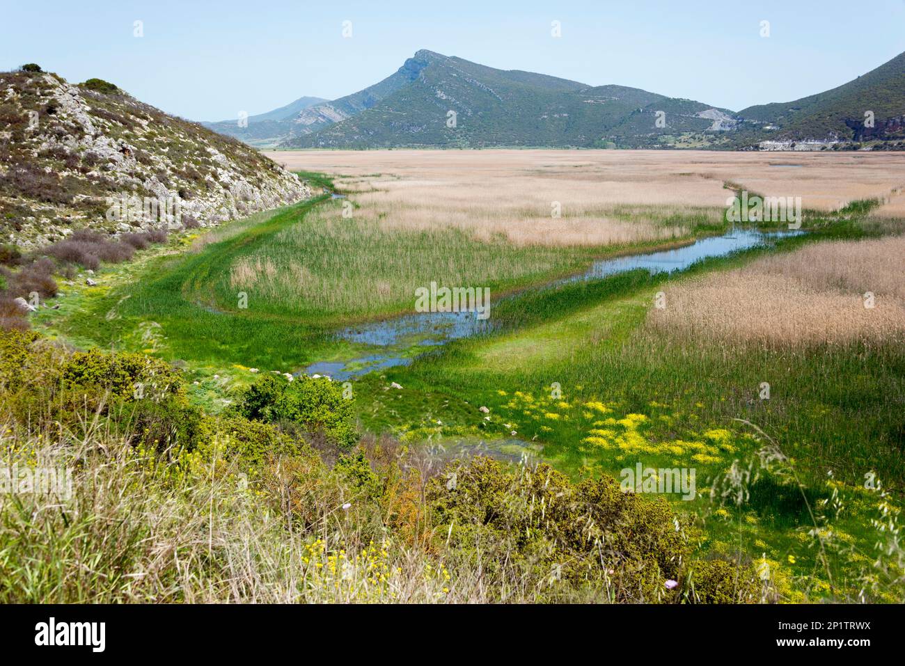 Lake Stymfalia, Korinthia, Peloponnese, Greece Stock Photo - Alamy